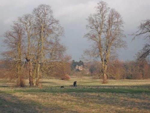 MABAC - Nonsuch Park Epsom Oddballs - Mabac Running League